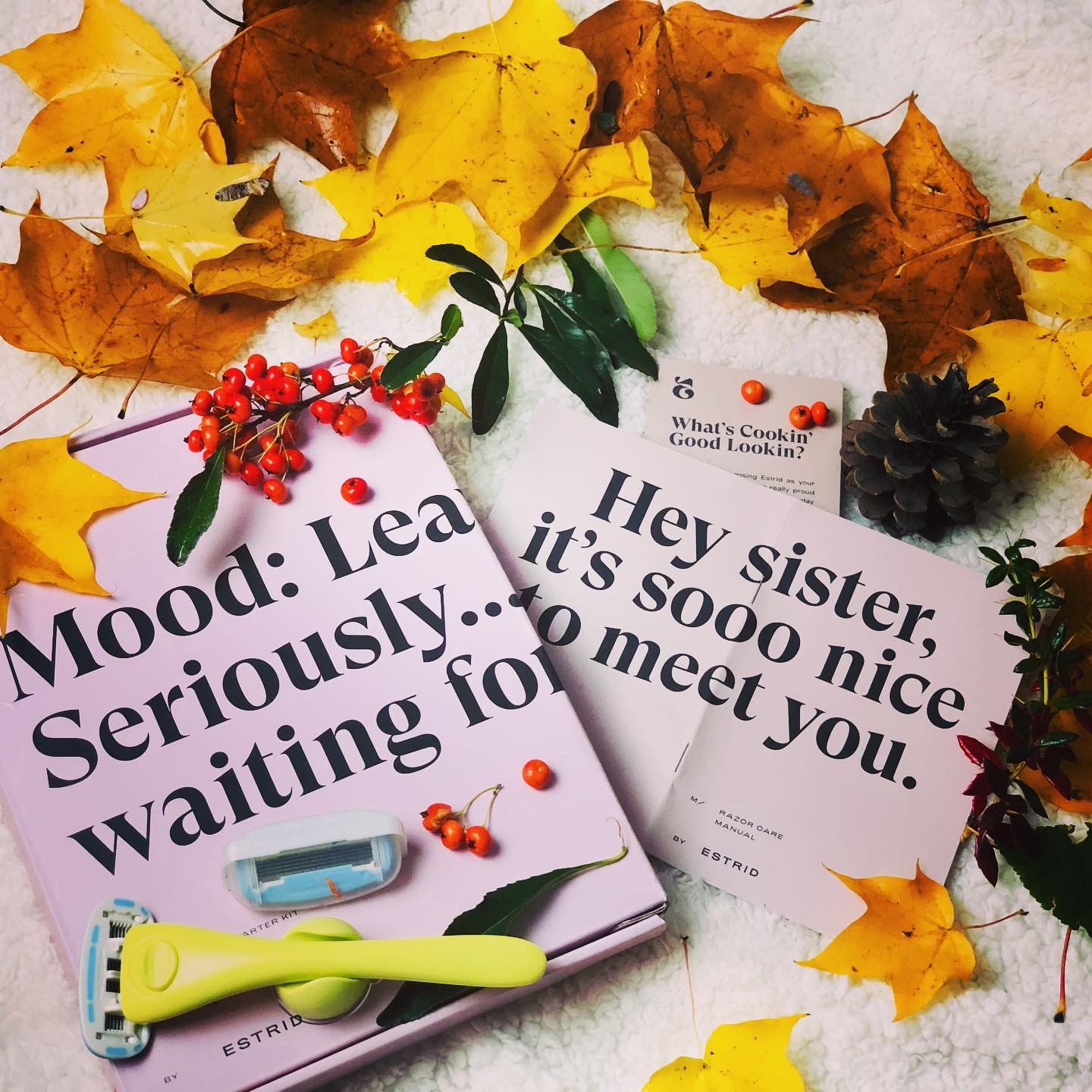 ESTRID Razor Review: Sustainable Shaving - La Blonde Voyage