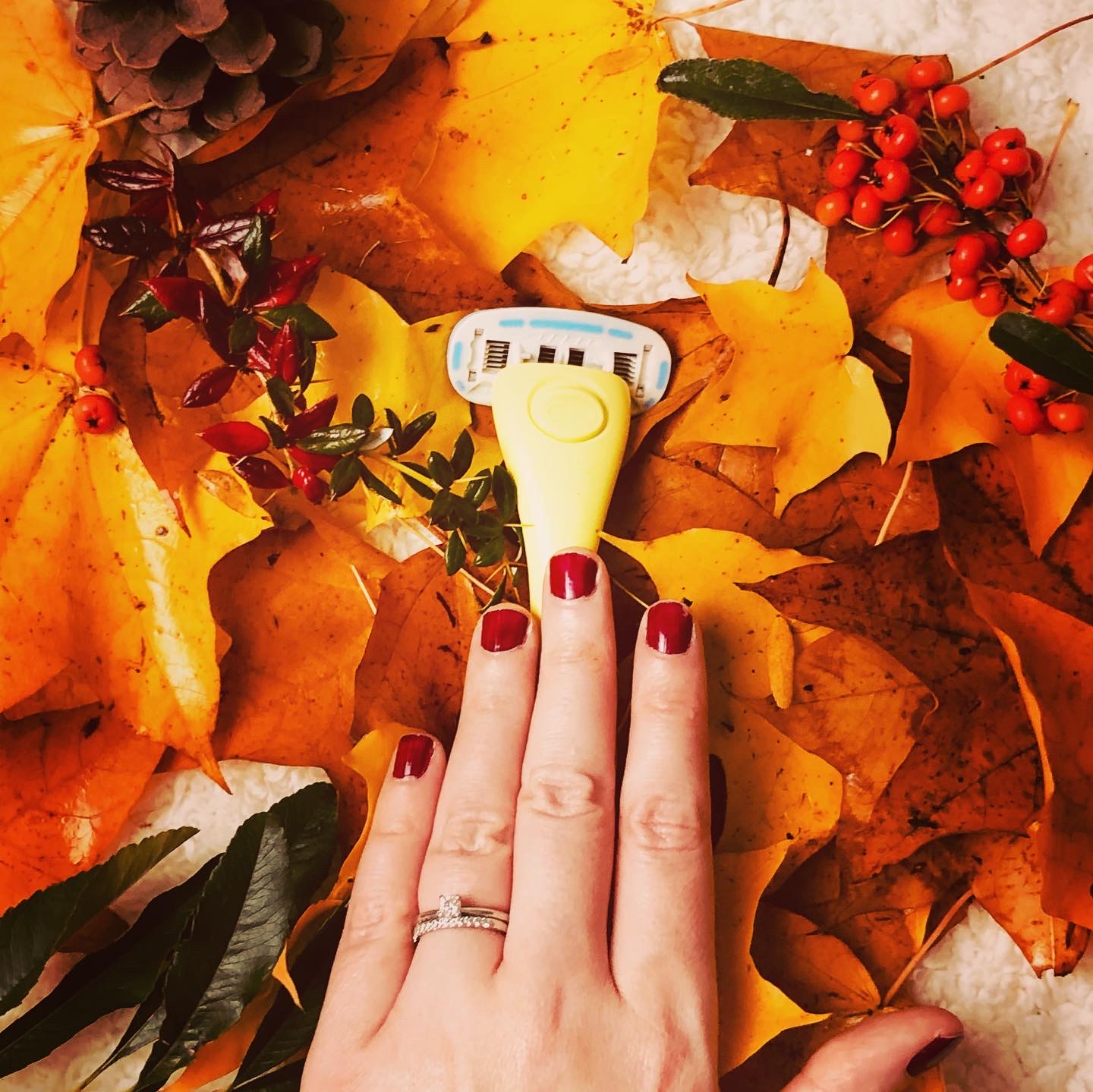 ESTRID Razor Review: Sustainable Shaving - La Blonde Voyage